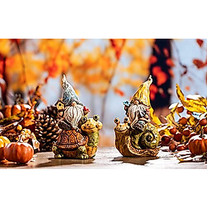 TERESA'S COLLECTIONS Garden Gnomes Statues Decorations for Yard Decor, Set of 2 Cute Gnomes Sitting on Snail & Turtle Garden Gift for Outdoor Yard Patio Lawn Ornaments Housewarming 7.5 Inch