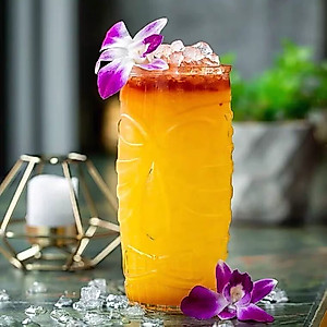 Cedilis 6 Pack 20 Ounce Modern Bar Tiki Glasses Tiki Cup Tiki Mug, Double Old Fashioned Glass, Hawaiian Style Glass, Perfect for Mai Tai, Exotic Zombie Cocktails, Tropical Island Drinks