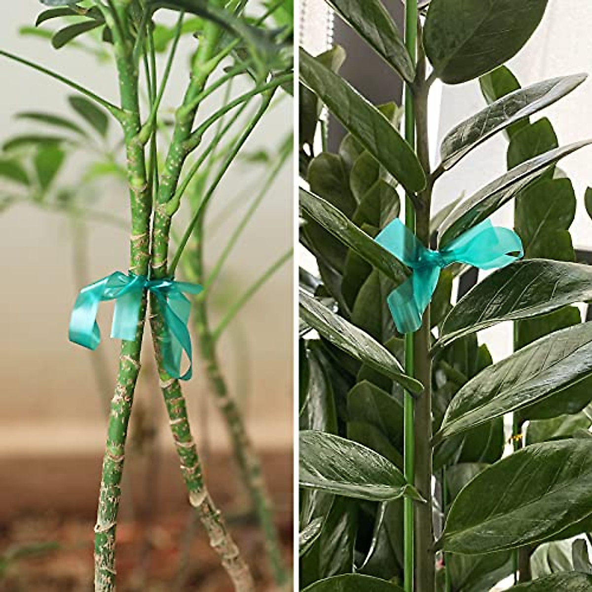 KINGLAKE GARDEN Stretch Tie Tape Roll-4 Rolls Total 600 Feet 1/2" Green Garden Tape,Plant Ribbons Plant Garden Tie for Branches, Climbing Planters, Flowers