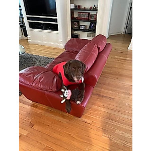 SurgiSnuggly Dog Recovery Suit with Dog Leg Sleeve for Back Legs - XLL, Easier Than Dog Pants Or Dog Suspenders for Your Dogs After Surgery Care SS Legs Xtra Large Long