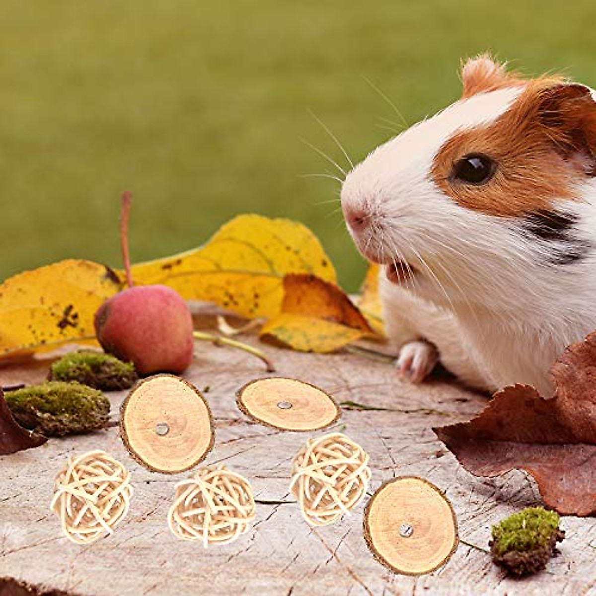 S-Mechanic Bunny Chew Toys Natural Apple Wood Small Animal Chew Toys for Rabbits Chinchilla Hamsters Guinea Pigs Gerbils (Pack 1)