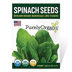 Purely Organic Spinach Seeds (Bloomsdale Long Standing) - Approx 300 Seeds - Certified Organic, Non-GMO, Open Pollinated, Heirloom, USA Origin