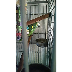 SWEETER HEATER Safe Heater for Chicks, Coops, & Animals, OH11x40, 150 Watt