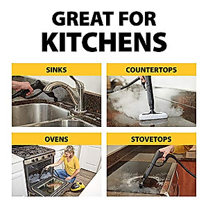 Wagner Spraytech 0282014 915e On-Demand Steam Cleaner & Wallpaper Removal, Multipurpose Power Steamer, 18 Attachments Included (Some Pieces Included in Storage Compartment)