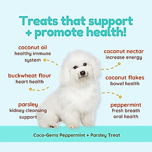 CocoTherapy Coco-Gems Dog Training Treat (Peppermint + Parsley) 5 Oz.