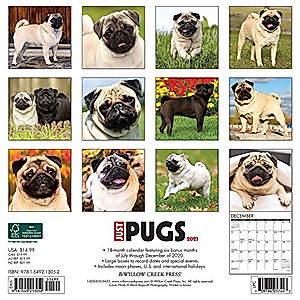 Just Pugs 2021 Wall Calendar (Dog Breed Calendar)