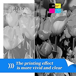 5000 Pages Coloner Compatible 50F1H00 Remanufactured Lexmark Toner Cartridge for use in MS310d, MS310dn, MS312dn, MS315dn, MS410d, MS410dn, MS415dn, MS510dn, MS610de, MS610dn, MS610dte, & MS610dtn