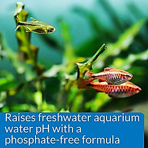 Aquarium Pharmaceuticals 31C pH Up Aquarium pH Adjuster, 4 oz.