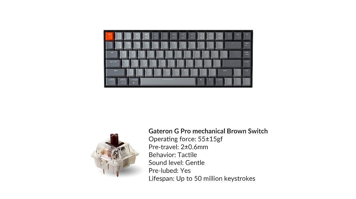 Keychron K2 Mechanical Keyboard - Compact RGB Bluetooth Wireless