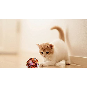 20 Pcs 2.2 Inch Cat Crinkle Balls Cat Toys Balls for Indoor Kittens Exercise and Cats Play and Chase