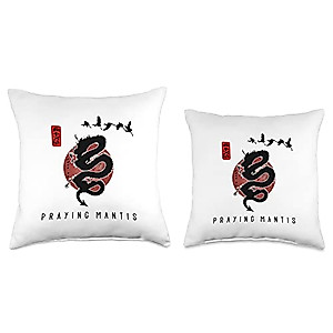 Praying Mantis Beginner Calligraphy Dragon Design Beginners Design Chinese Praying Mantis Style Throw Pillow, 16x16, Multicolor