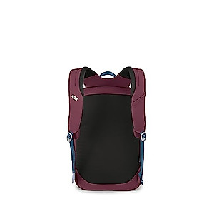 Osprey Arcane Large Day Everyday Backpack, Allium Red/Brindle Brown, One Size