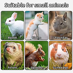 BNOSDM Rabbit Automatic Food Feeder and Water Dispenser Bunny Gravity Feeding Station Waterer Set Hanging Self-Dispensing Feeder for Ferret,Guinea Pigs Chinchillas Kitten (Blue)