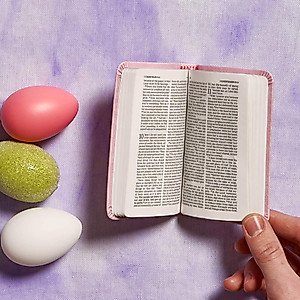 CSB Baby's New Testament with Psalms, Pink Imitation Leather, Red Letter, Presentation Page, Gift Box, Keepsake, Easy-to-Read Bible Serif Type