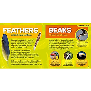 National Geographic Little Kids First Big Book of Birds (National Geographic Little Kids First Big Books)