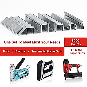 SHALL Heavy Duty T50 Staples and 18GA Brad Nails Combo Kit, 8000-Count, Four Sizes of T50 Staples for Staple Gun Including 1/4, 5/16, 3/8, 1/2 Inch and Two Sizes of Brad Nails Including 1/2, 9/16 Inch