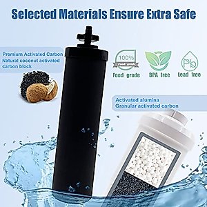 ShuRex Replacement Fluoride Water Filter and Black Purification Elements, Compatible with Berkey and other Gravity Filtration System (Pack of 2 x white fluoride + 2 x Black Filters)