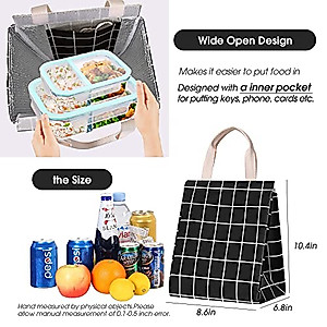 HOMESPON Reusable Lunch Bag Insulated Lunch Box Canvas Fabric with Aluminum Foil, Lunch Tote Handbag for Women,Men,Office (Black Plaid)