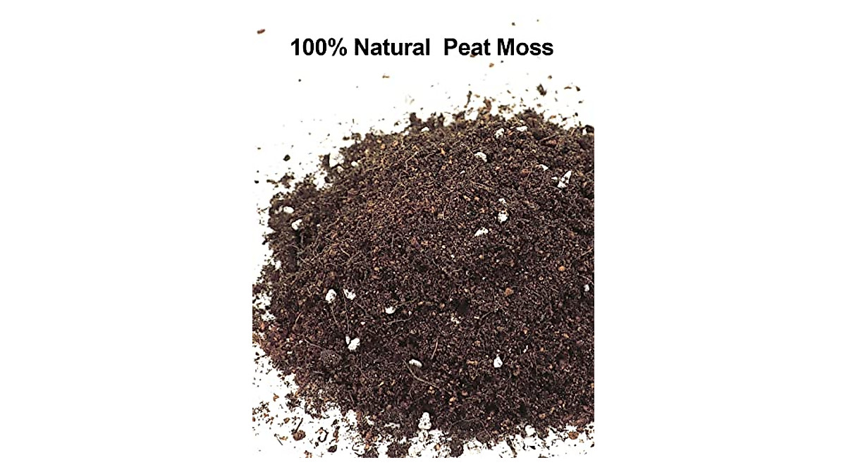 Organic Peat Moss Potting Mix for Succulents & More | TOYPOPOR