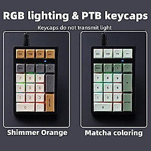 BRIMFORD Number Pad, Mechanical Numeric Keypad, RGB Digital Mechanical Keyboard 21 Keys with USB for Laptop, Notebook, Surface, Tabulation/Accounting Keypad (Shimmer Orange(PBT Keycaps))