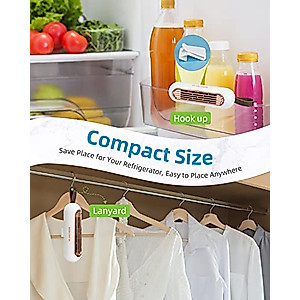 SEANCHEER Fridge Deodorizer, Mini USB-C Rechargeable Reusable Refrigerator Deodorizer, Refrigerator Odor Eliminator with Hook Lanyard for Fridge Wardrobe Shoes Cabinet