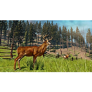 Cabela's North American Adventures 2011 - Sony PSP