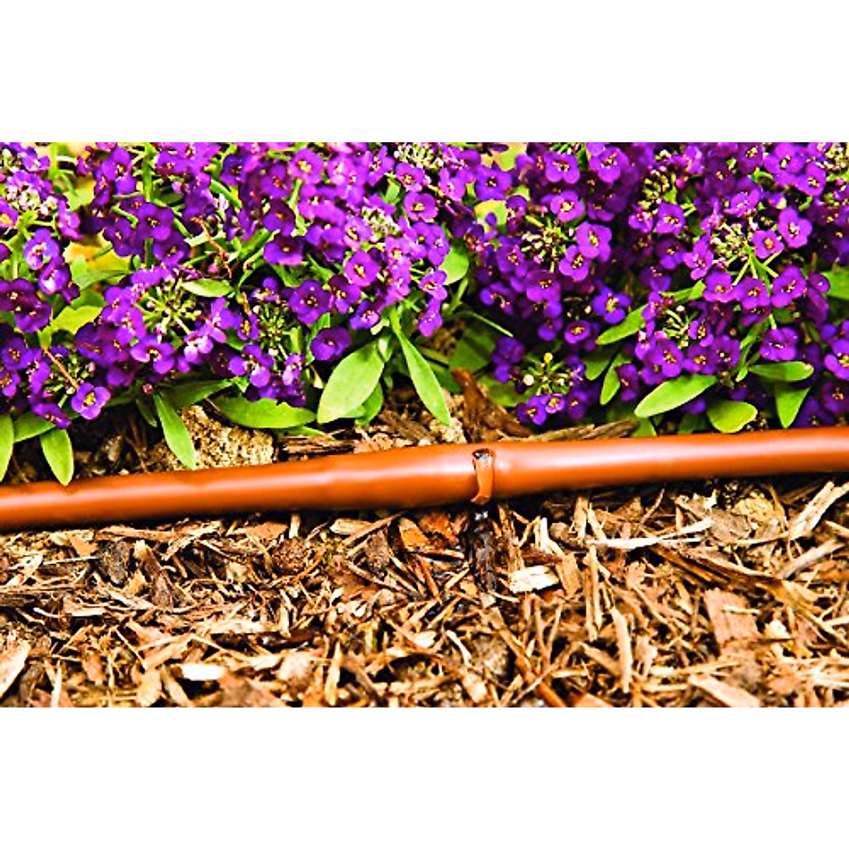 (100' ft Roll) - USA Made - 1/4-Inch x Irrigation/Hydroponics Dripline with 6-Inch Emitter Spacing (Brown) (100' Foot Roll)