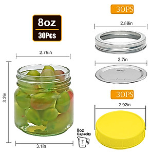 Salzesfalls 30 Pack 8oz Mason Jars with Lids,Half Pint Canning Jars,Small Glass Canning Jars,Samll Mason Jars for Jam, Honey,Candy,Spice