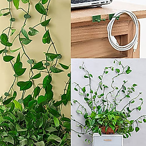 LUCKJUJU 100 Pcs Plant Climbing Wall Fixture Clips Self-Adhesive Hook Vines Traction Clips Invisible Holder Garden Green Leaf Simulation Self-Adhesive Hook Wire Fixing Supporting