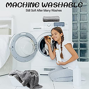 2 Pcs Pet Blanket Flannel Double Layer Dog Cat Blanket Soft Warm Fleece Blankets for Pets Puppy Kitten, Fluffy Cozy Cat Thick Throw Blanket for Couch Bed Sofa Travel Camping (Gray,32 x 40 Inch)