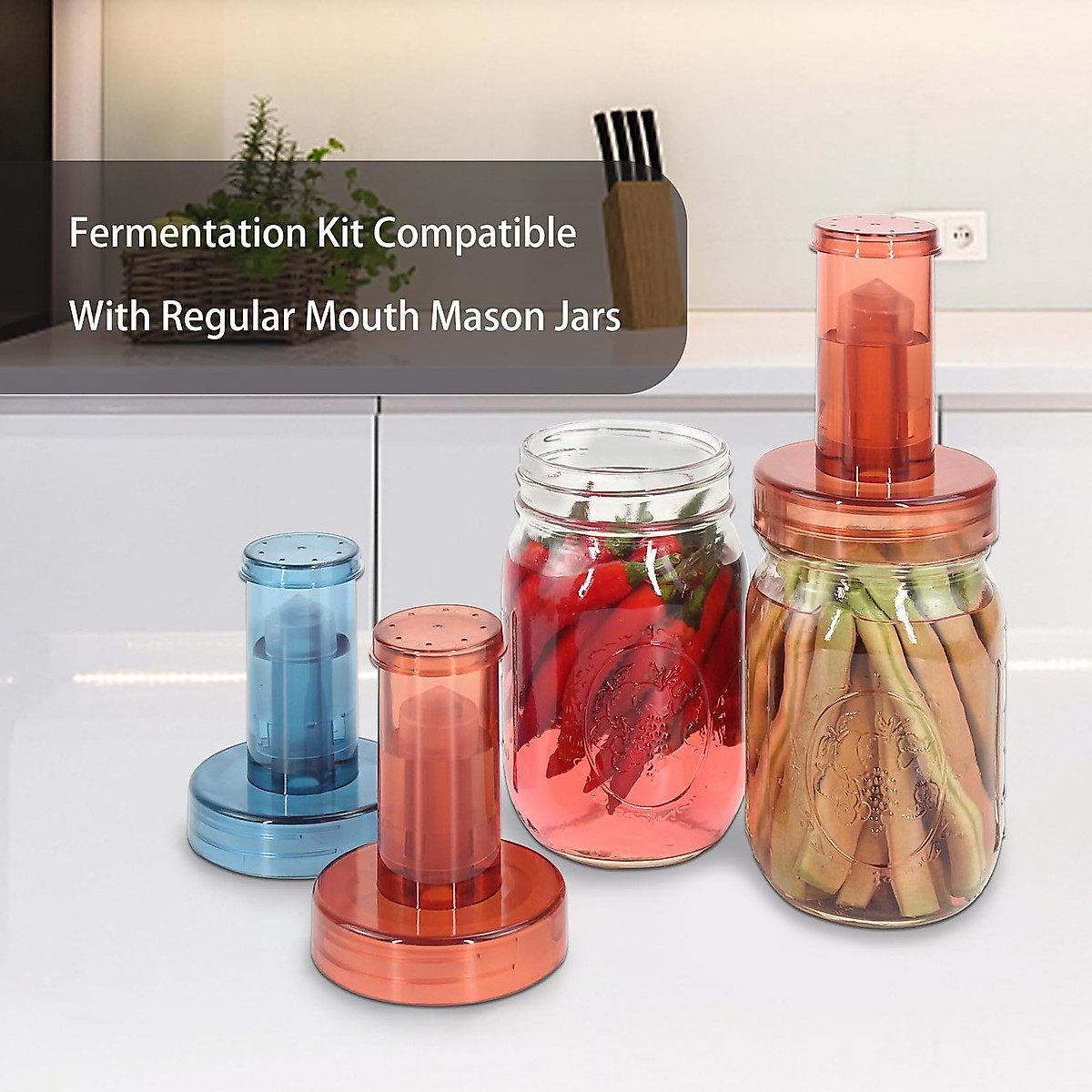 Fermentation Lids Compatible with Regular Mouth Mason Jar, Fermentation Kit for Regular Mouth Mason Jars Making Sauerkraut,Kimchi,Vegetable (4 Pack)