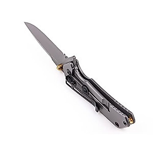 Sanrenmu Knives Folding Pocket Knife 7056 EDC Knife 8Cr14MoV Blade Hunting Survival Fishing Tool (7056LUP-SK(Grey))