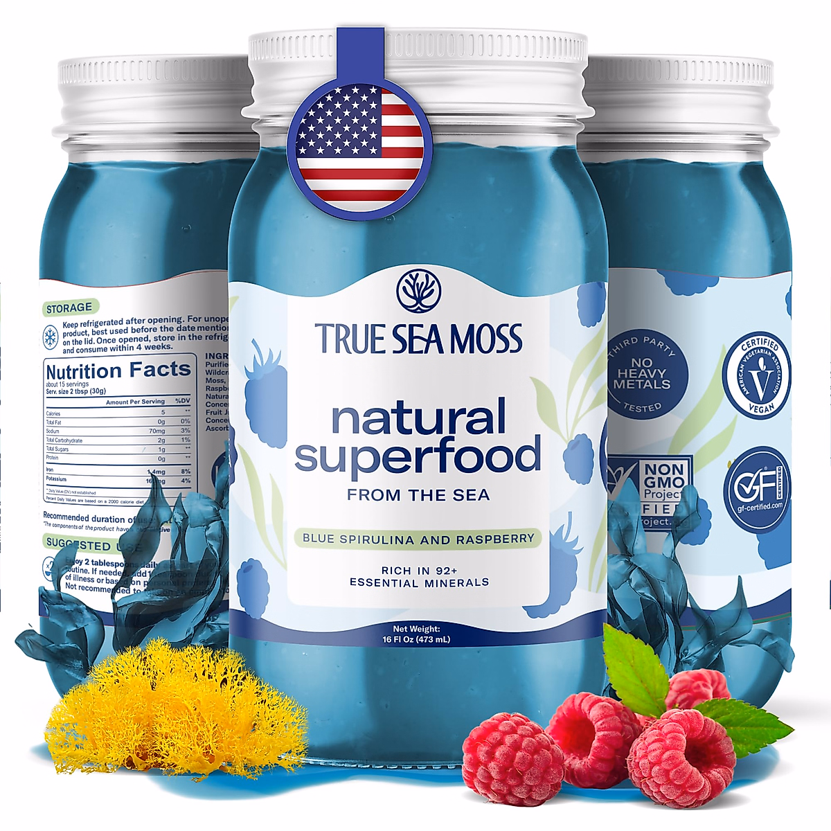TrueSeaMoss Wildcrafted Irish Sea Moss Gel - Made with Dried Seaweed & Fresh Sea Vegetables, Seamoss - Made in USA (Blue Spirulina and Raspberry, Pack of 1)