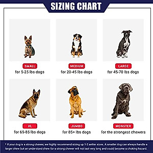 Devil Dog Pet Co Antler Dog Chew - Premium Elk Antlers for Dogs - Long Lasting Dog Bones for Aggressive Chewers - No Mess No Odor - Wild Shed in The USA - Veteran Owned (Medium)