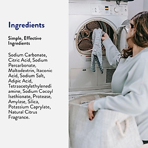 THE CLEAN PEOPLE Washing Machine Cleaner - Washer Machine Cleaner Tablets for Removing Odor, Grime & Scale Buildup - Front Load and Top Load Laundry Machine Cleaner - 10 Count