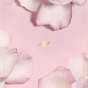 Dove Body Wash with Pump For Dewy, Supple Skin Peony and Rose Oil Cleanser That Effectively Washes Away Bacteria While Nourishing Your Skin 34 oz