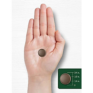 Carlyle Oregano Oil Gummies | 3000mg | 120 Count | Natural Mango Flavor | Vegan, Non-GMO, and Gluten Free Extract Formula | Traditional Herb Supplement