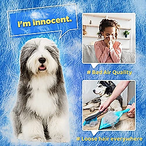 Pet Hair Remover Glove - Gentle Pet Grooming Glove Brush - Deshedding Glove - Massage Mitt with Enhanced Five Finger Design - Perfect for Dogs & Cats with Long & Short Fur - 1 Pack (Right-Hand), Blue