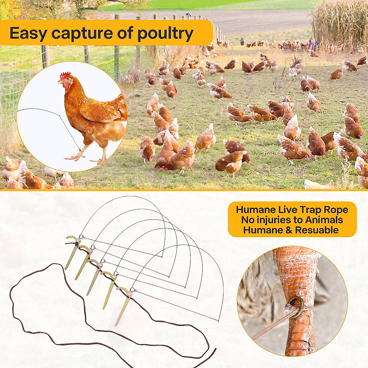 Bird Trap by Tying Birds' feet，Hunting Trap for Birds,Wild Duck,Chicken, Pheasant, Partridge Mallard