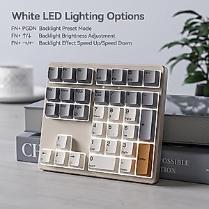 Mechanical Number Pad,34 Key Wired USB Numeric Keypad White Backlit Hot Swappable Numpad with PBT Keycaps for Laptop, MacBook,PC Desktop (Retro Beige,Brown Switch)