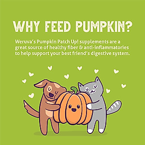 Weruva Pumpkin Patch Up! Pumpkin Puree Pet Food Supplement for Dogs & Cats, 1.05oz Pouch (Pack of 12)