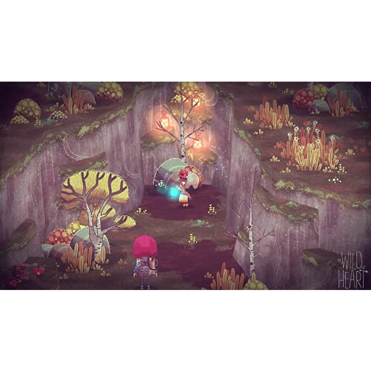 The Wild at Heart (Nintendo Switch)