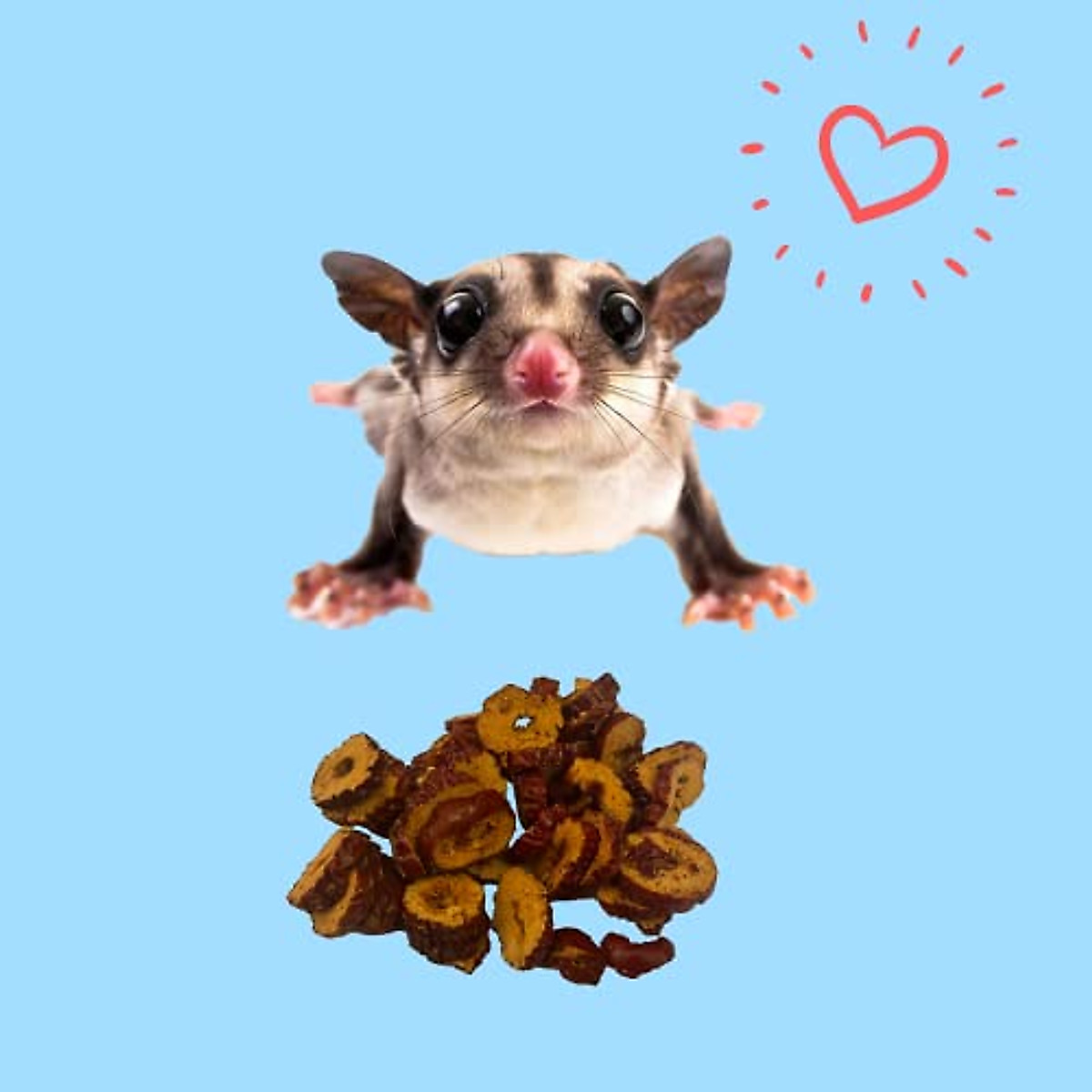 PETIVORE Premium Dried Jujubes for Sugar Glider and Small Exotic Pet - Happy Treats, Snacks and Food (20g)