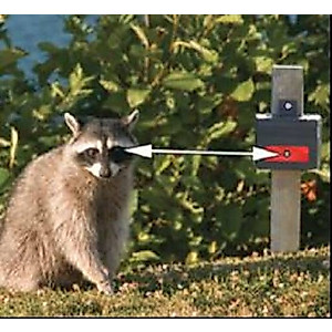 Nite Guard Solar NG-001 Predator Control Light,Single Pack, Black