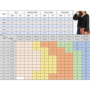 GOORY Women's Balloon Sleeve Chiffon Blouse Top Casual V Neck Swiss Dots Work Shirts, Wine Red XL