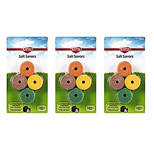 Kaytee Mini Salt Savors Flavors 4pk