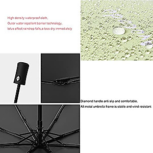 CatXQ Fruits Series Automatic Folding Umbrellas,[Rain & Sun,Windproof,Compact,Lightweight] Portable Travel Umbrellas for Woman Girl Kids - Avocado