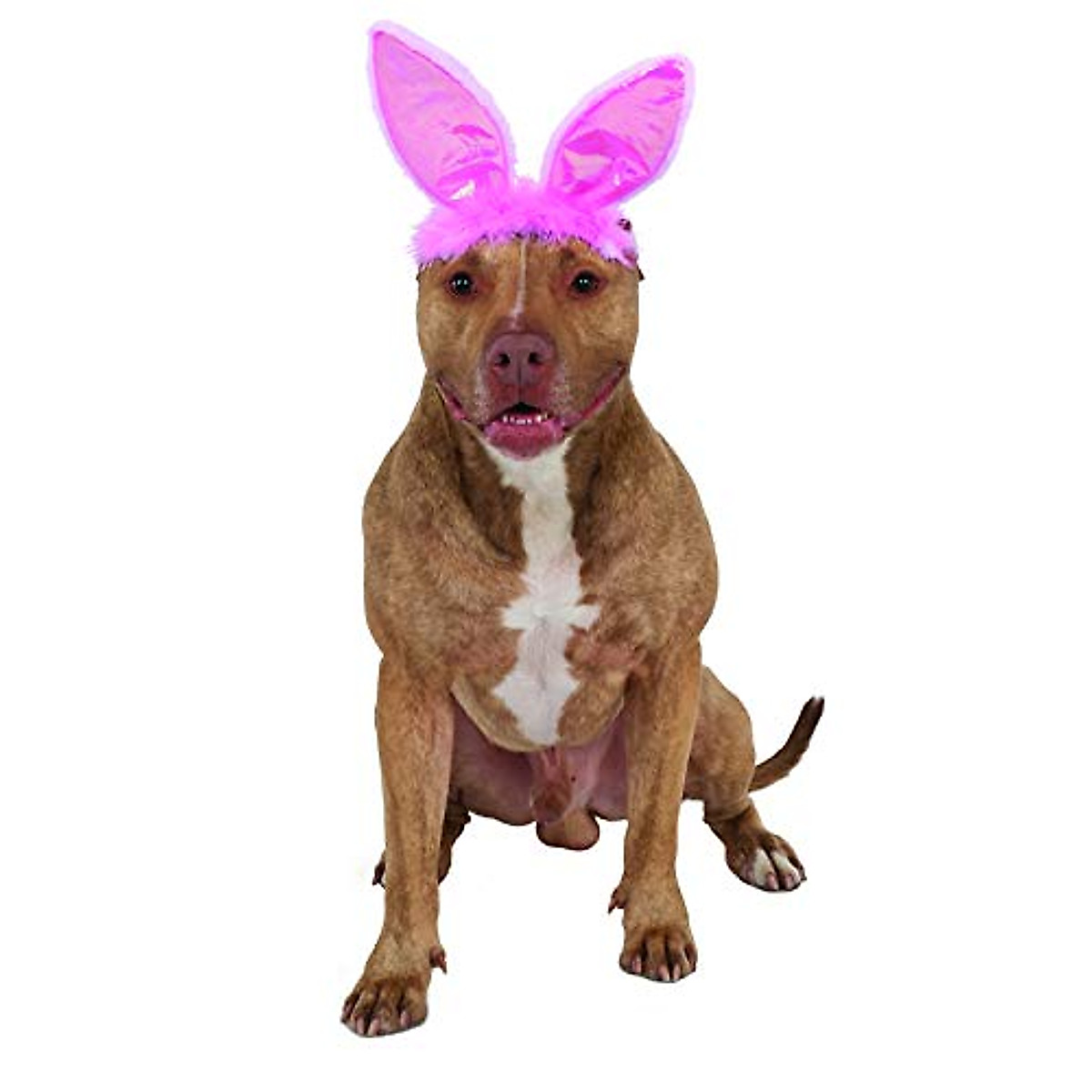 Rubie's Crinkle Pink Bunny Ears Pet Headband, Small/Medium
