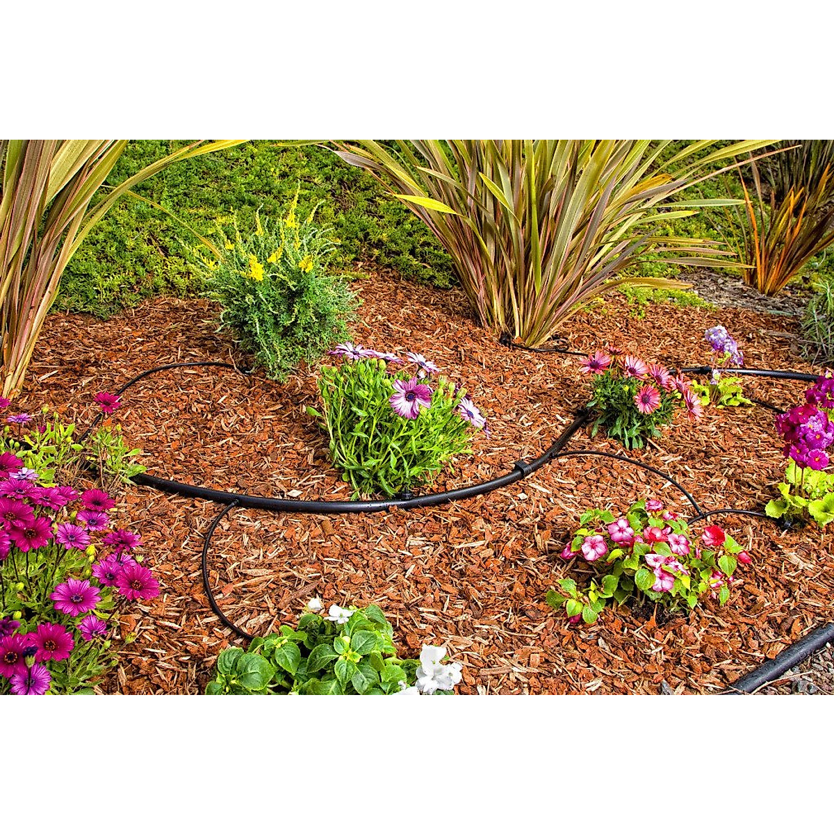 Gardener's Poly Tubing (1/2"-inch) .600 ID x .700 OD - Irrigation, Hydroponics, Growing - Water Distribution Tube (100 Foot Roll)