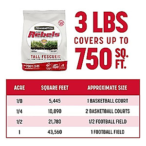 Pennington The Rebels Tall Fescue Grass Seed Blend, 3 Pounds